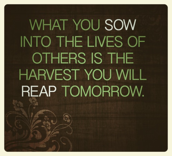 Reaping and Sowing